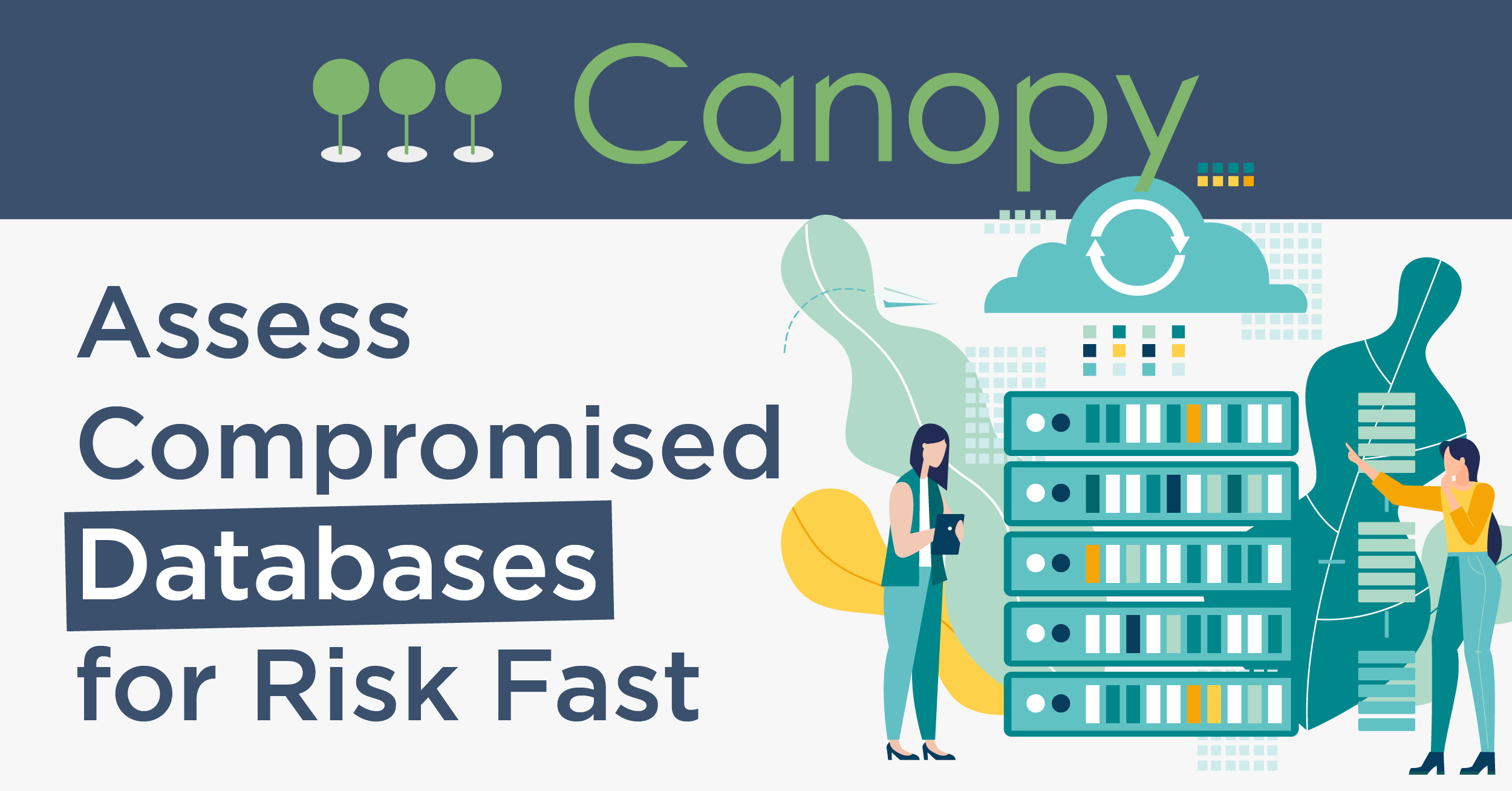 Assess Compromised Databases for Risk Fast